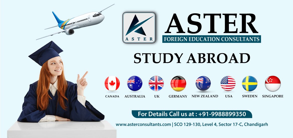 Aster Foreign Education Consultants